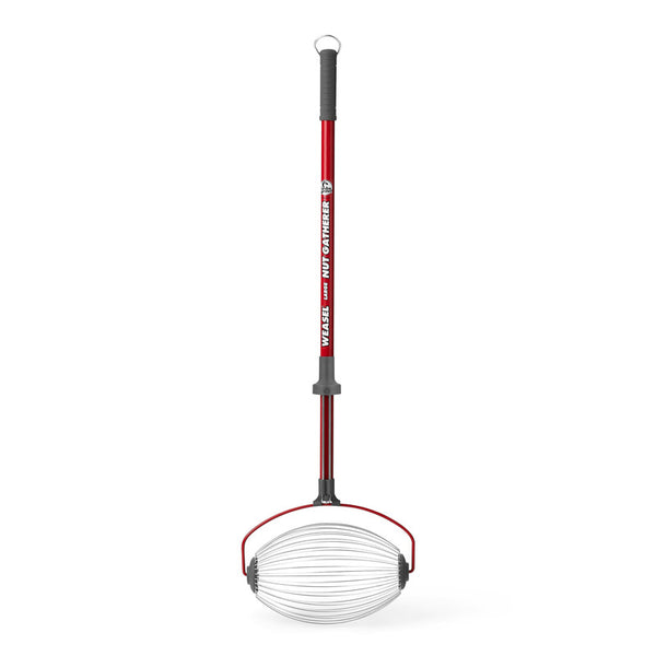 Garden Weasel Large Nut Gatherer, Picks up Walnuts, Small Fruits, Sweet ...