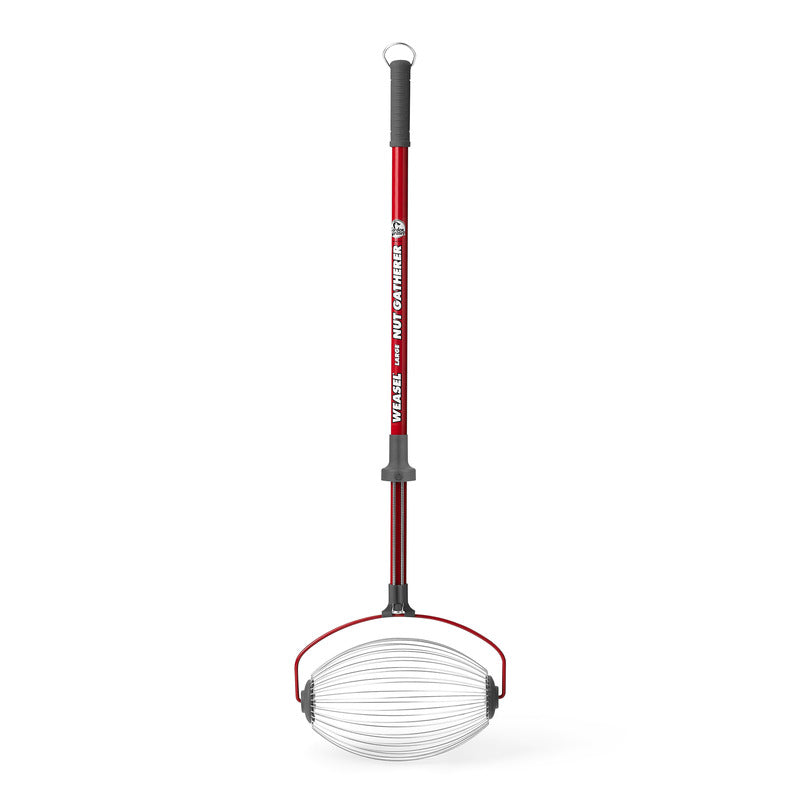 Garden Weasel Large Nut Gatherer, Picks up Walnuts, Small Fruits, Sweet ...