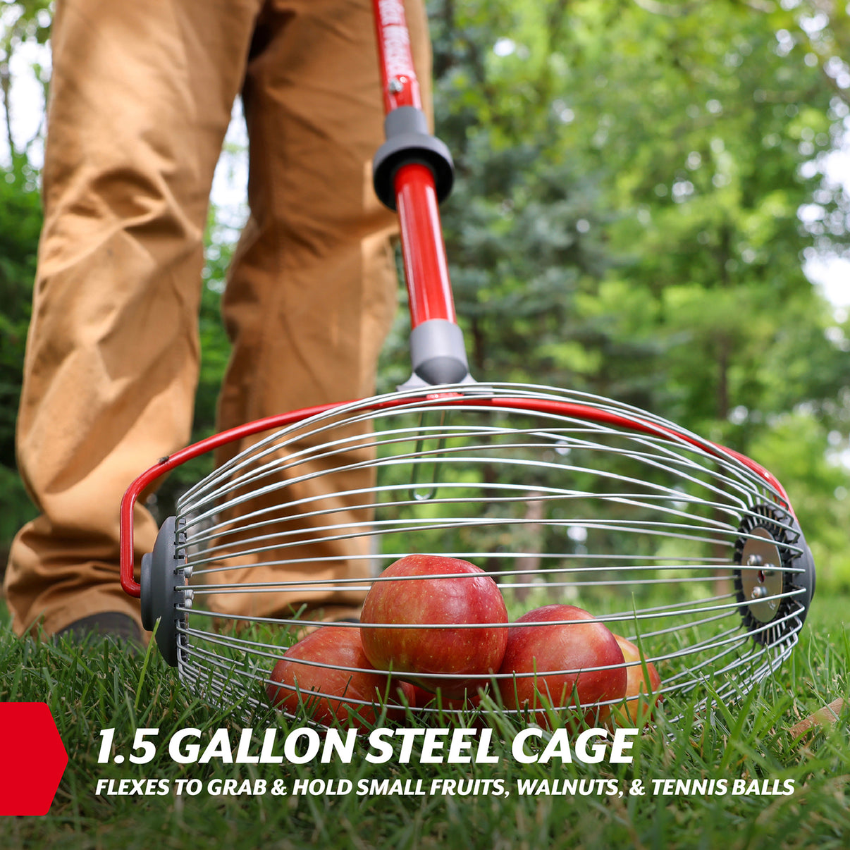 Garden Weasel Large Nut Gatherer, Picks up Walnuts, Small Fruits, Sweet ...