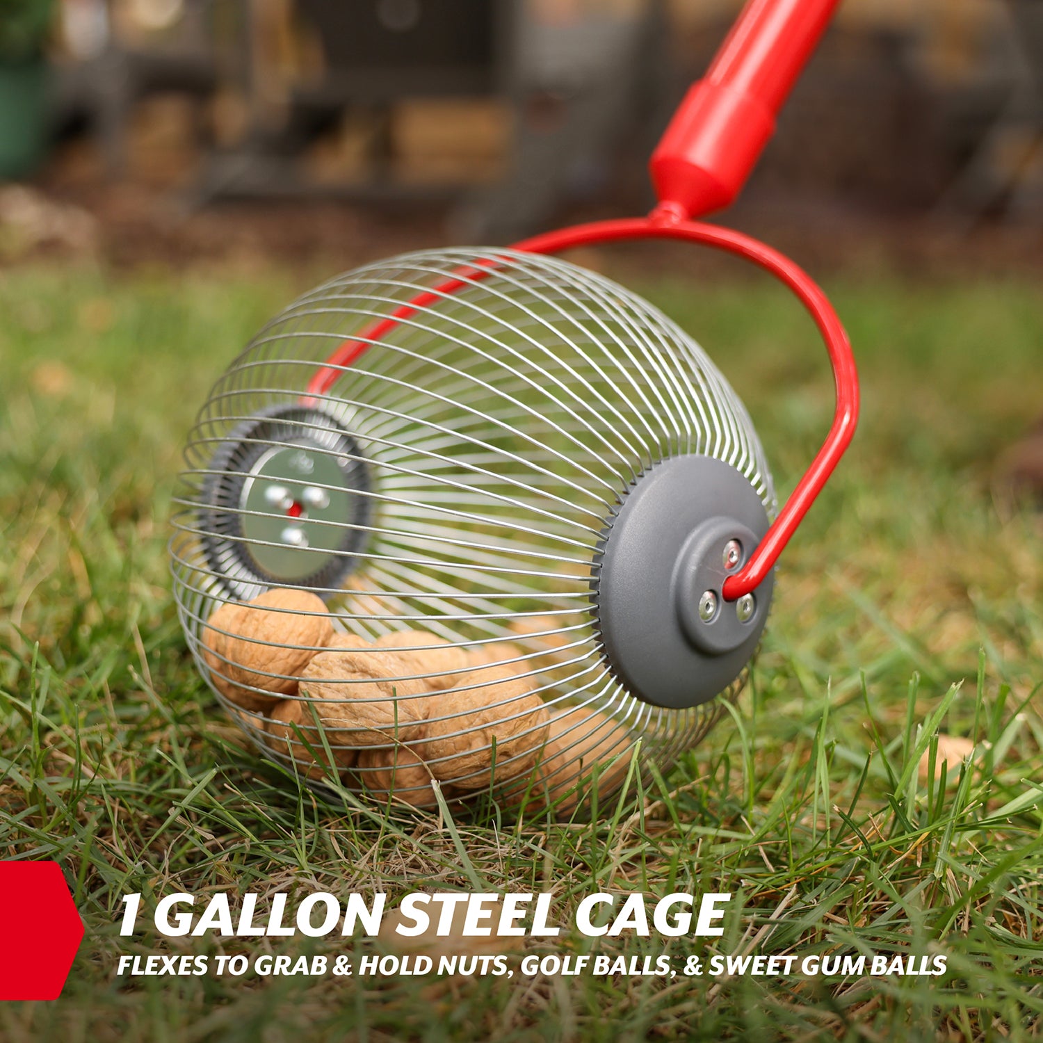 Garden Weasel Medium Nut Gatherer Picks up Pecans, Large Acorns, Sweet ...