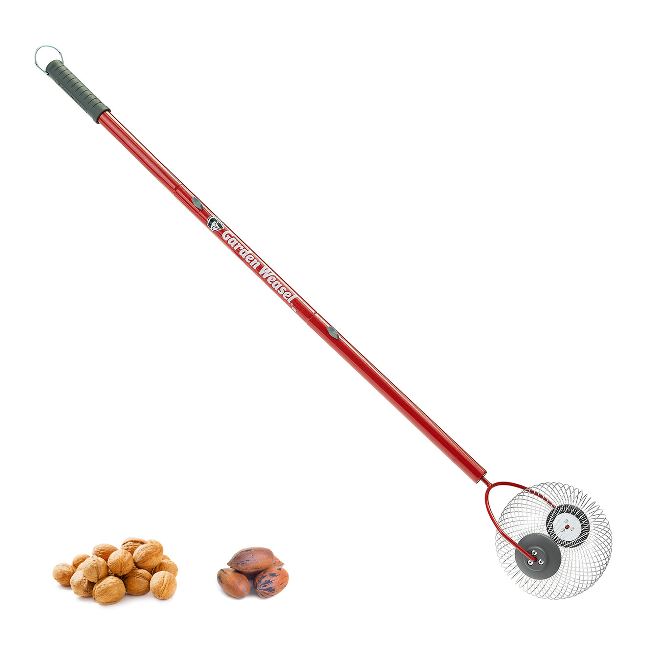 Garden Weasel Medium Nut Gatherer Picks up Pecans, Large Acorns, Sweet ...
