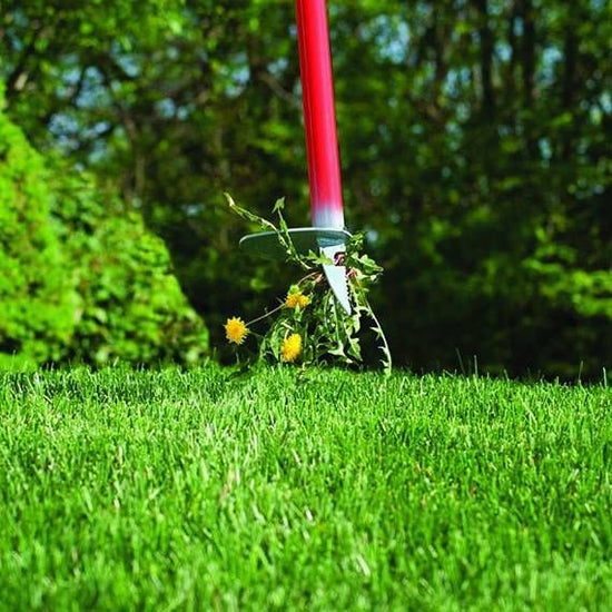 WeedPopper Step & Twist, Easy Weed Removal – Garden Weasel